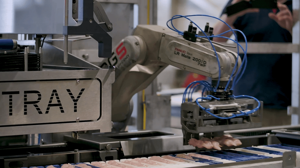 automated skewer systems